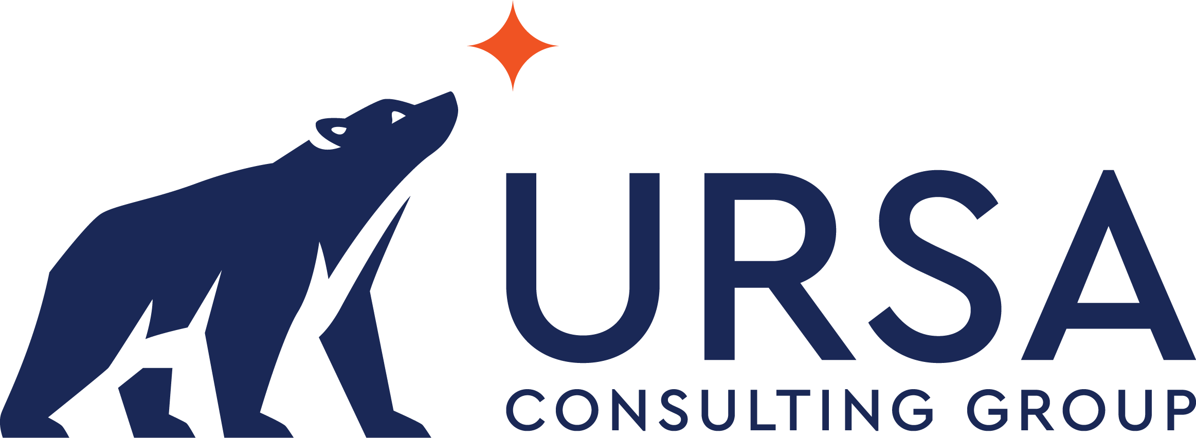 URSA Consulting Group · Your North Star for Strategic Tech Leadership.